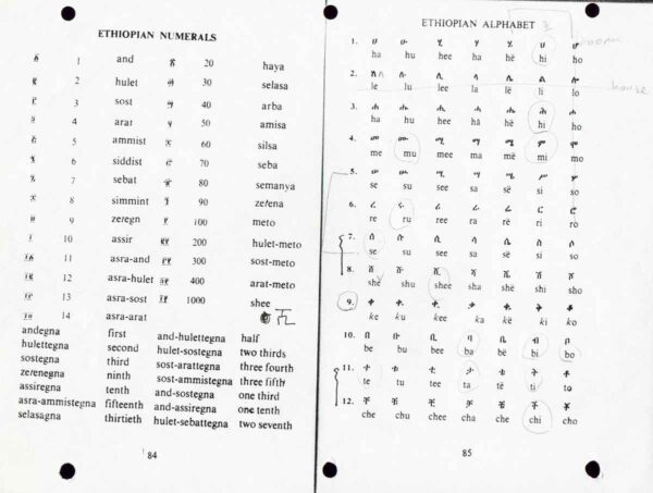5 Ethiopia Languages and Useful Tips Before a Visit