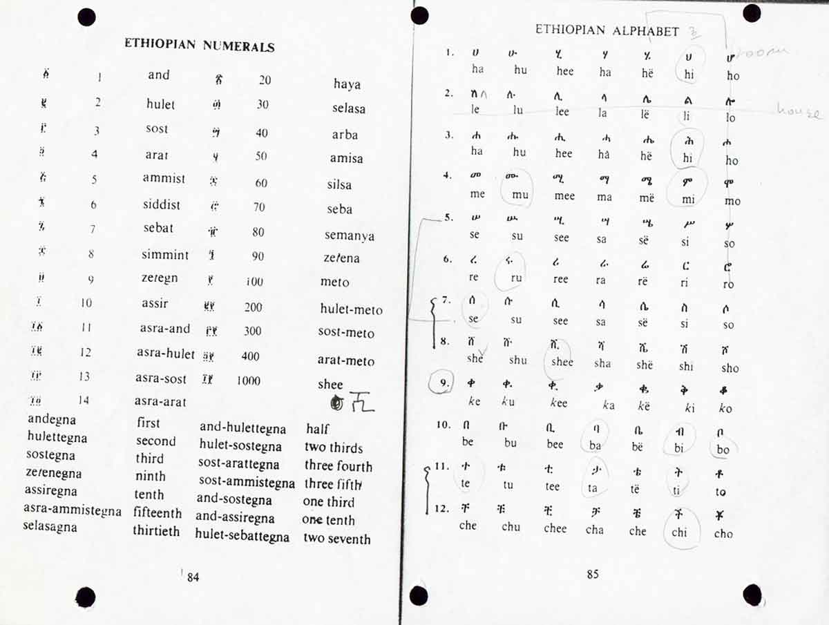 5 Ethiopia Languages and Useful Tips Before a Visit